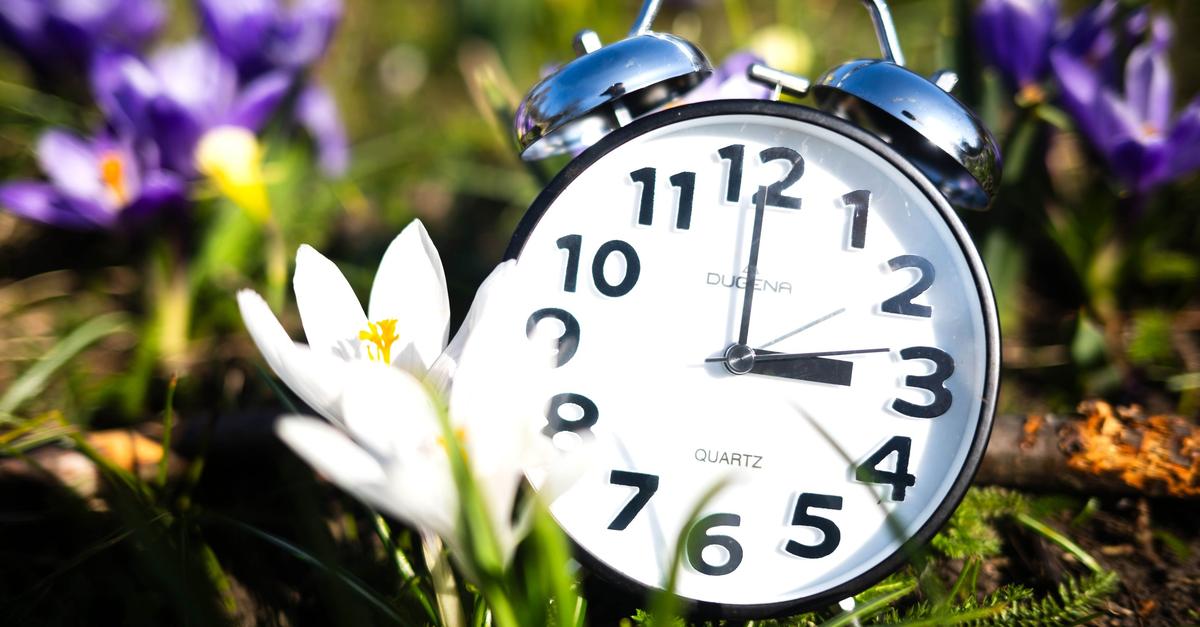 Wormel: Zurück zum Oldschool-Wecker